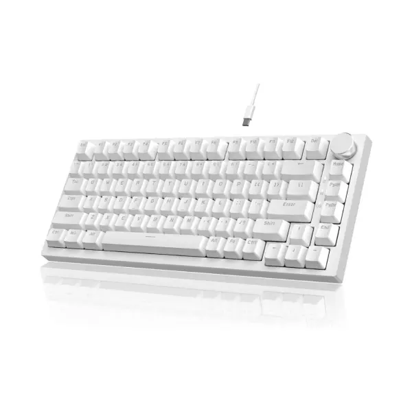 Ajazz AK820 Monochrome 75% Backlight Mechanical Keyboard - Vibe Gaming